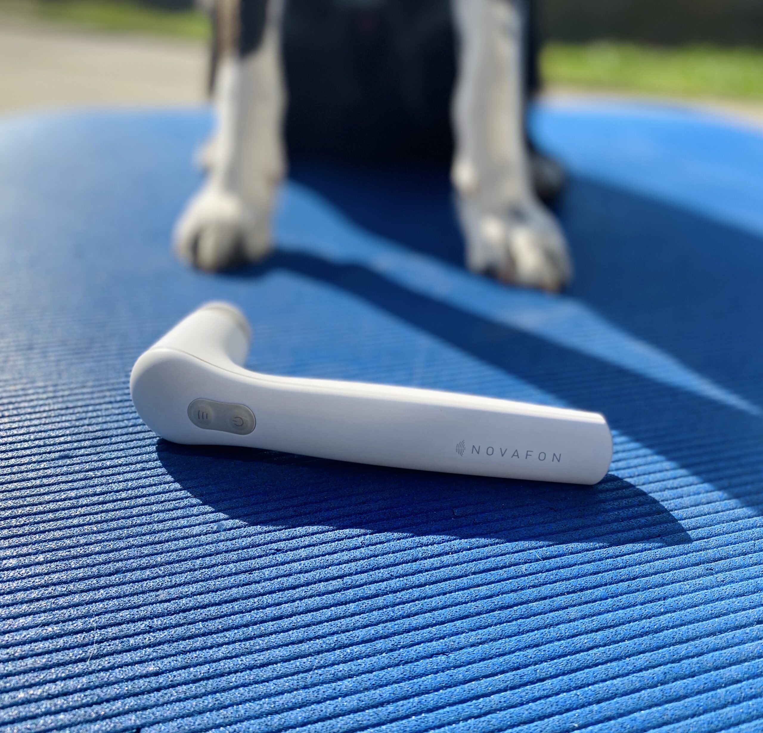 Therapiemöglichkeiten – Physio4Dogs